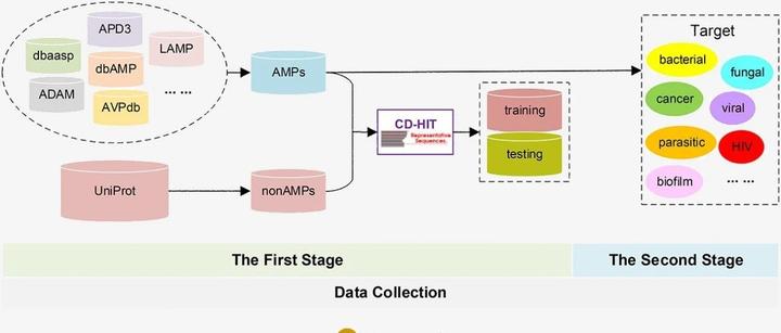 Brief Bioinform｜iAMPCN：识别抗菌肽功能活性的深度学习方法 - 知乎