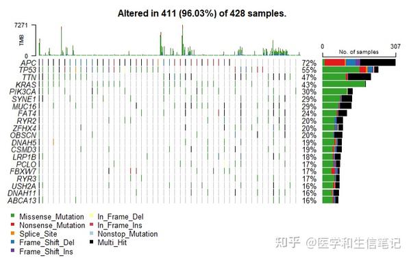 complexheatmap绘制TCGA的MAF突变全景图 - 知乎