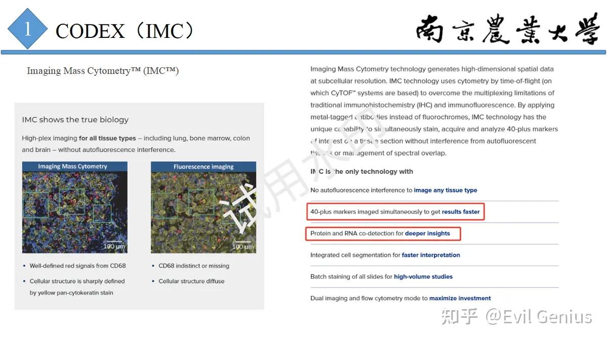 第26课PPT--CODEX（IMC、mIHC）基础分析梳理 - 知乎