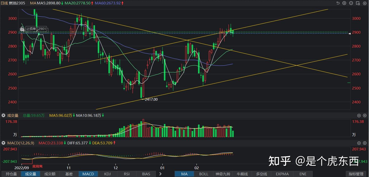 0223 空了两个 - 知乎