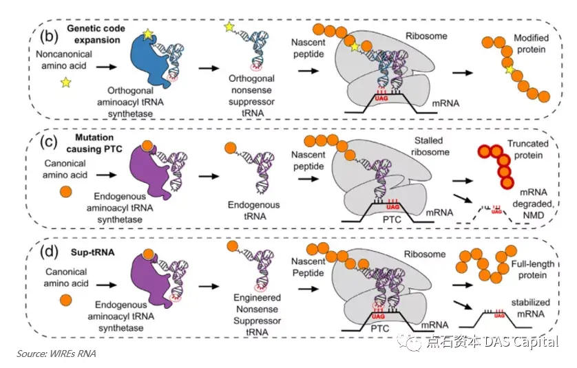 行研 | RNA时代加速？RNA赛道梳理 - 知乎