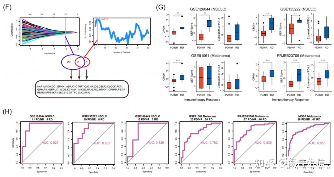 13+昼夜节律相关的单细胞预后思路分享 - 知乎