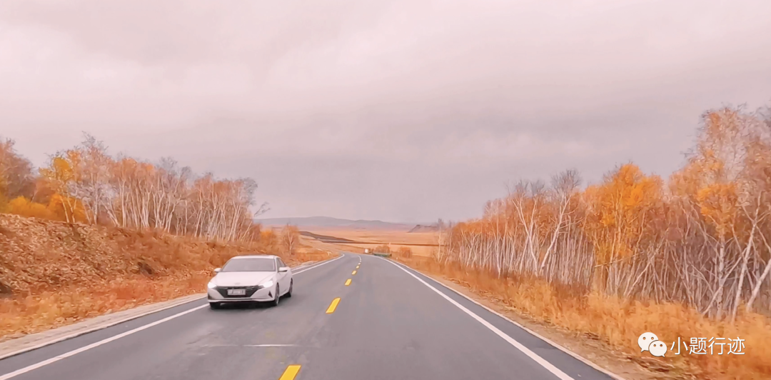 此生必驾“中国北境公路之王”G331边境线：阿尔山至东乌无敌美景 - 知乎