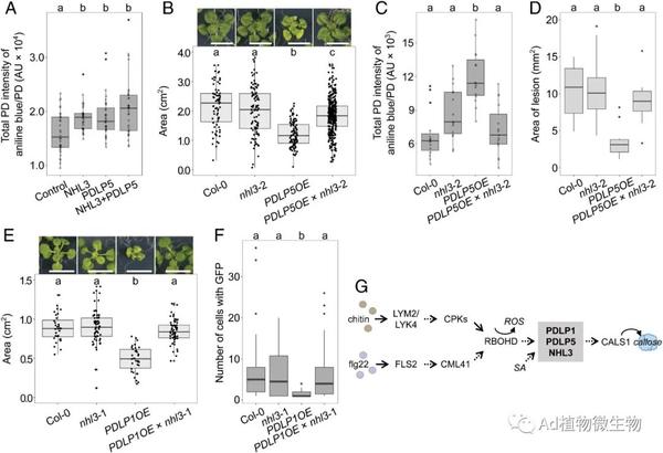 PNAS | 研究揭示植物胞间连丝免疫信号级联的机制！ - 知乎