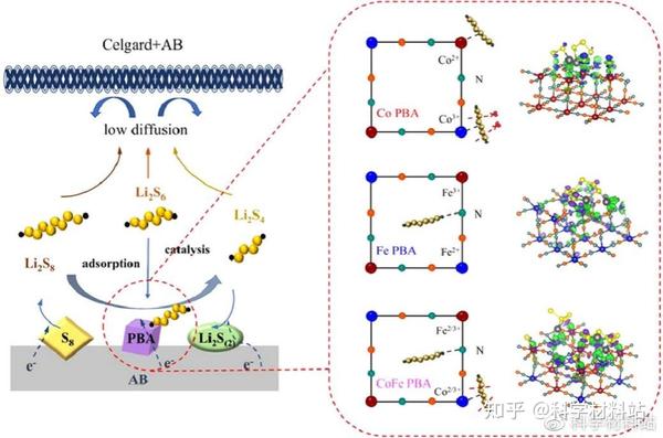EnSM：不同金属节点对锂硫电池逐步电催化的贡献 - 知乎