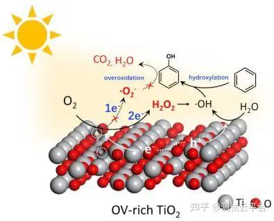 王心晨，第70篇Angew！ - 知乎