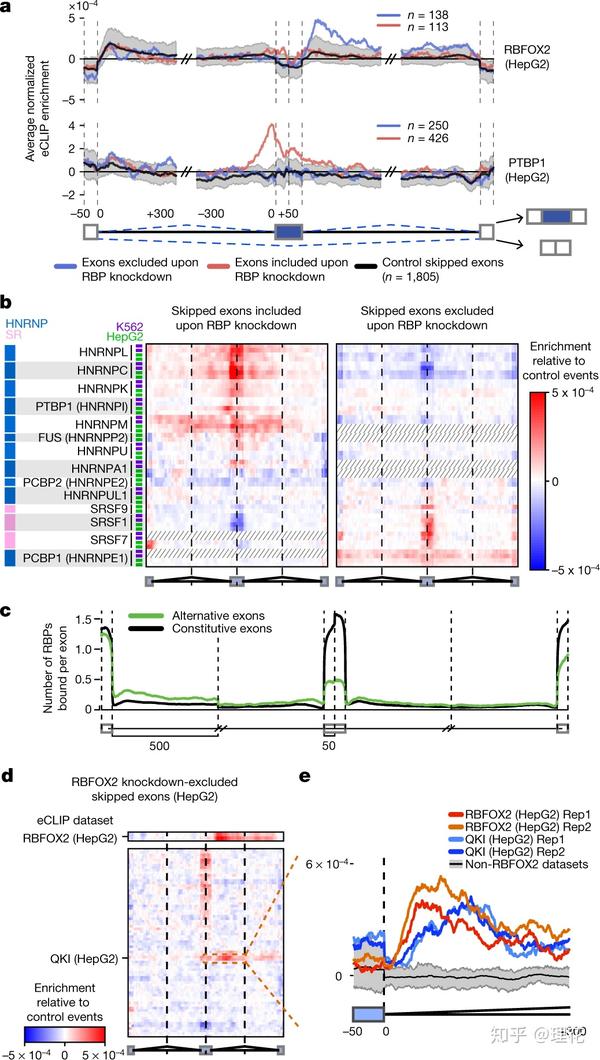 ENCODE项目第三期论文解读之二：人类RNA-结合蛋白的大规模结合和功能图 - 知乎