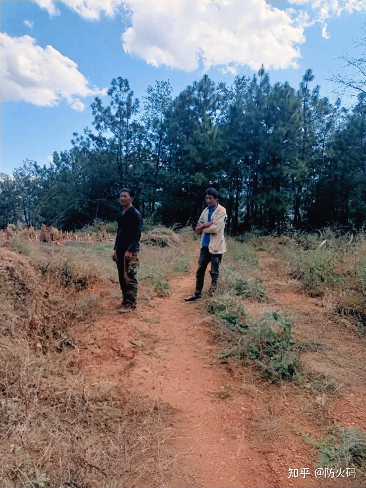 【独家专访】大山深处的守护者① | 记护林员王志安 - 知乎