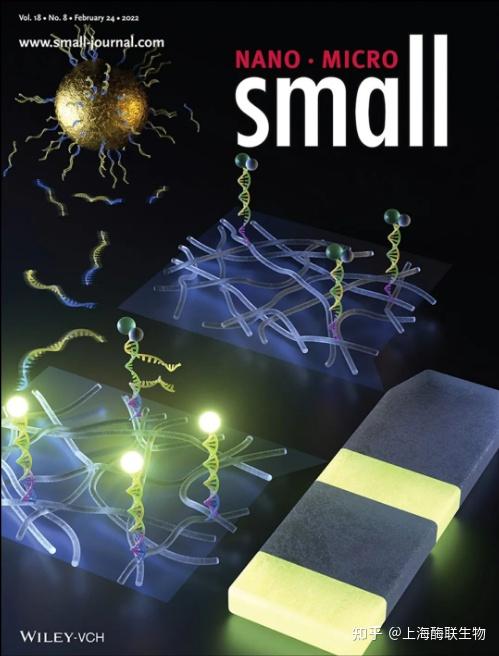 MLBIO丨酶联生物ELISA试剂盒产品SCI文献精选（2025.1） - 知乎