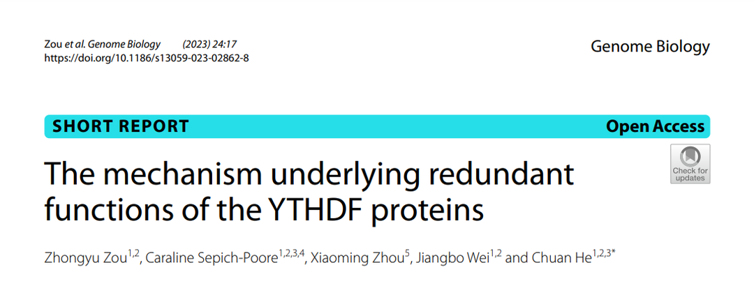 Genome Biol︱何川团队解析YTHDF家族蛋白功能的“不同”与“同” - 知乎