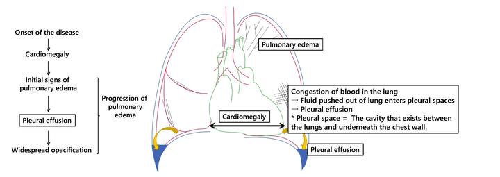 MIMIC-Diff-VQA 胸部X光图像差异视觉问答数据集介绍 - 知乎