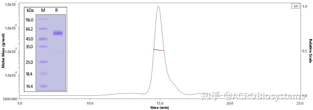 【全球首个】GLP-1R/GIPR/GCGR三激动剂项目启动Ⅲ期临床 - 知乎