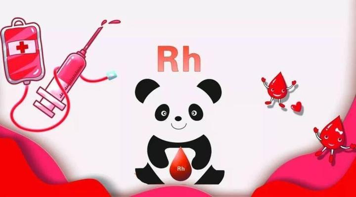 熊猫血,现实中到底有多罕见? 知乎