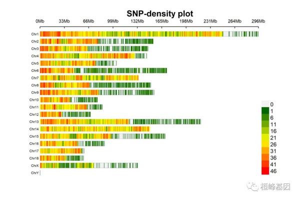 DNA 12. SCI 文章绘图之全基因组关联分析可视化(GWAS) - 知乎