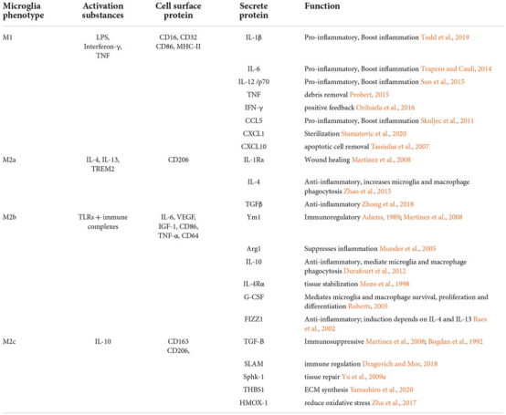 Front.aging-neurosci-创伤性脑损伤中小胶质细胞极化的信号通路 - 知乎