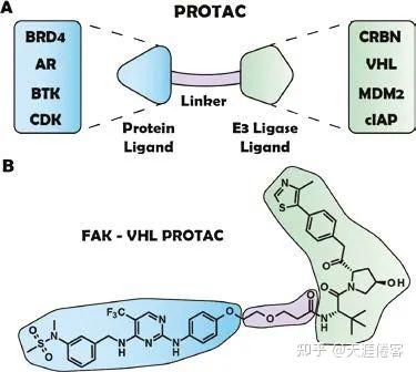 PROTAC技术-突破高难度靶点可成药 - 知乎