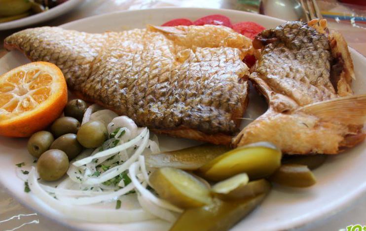 我是波斯猫，我为伊朗美食代言（上） - 知乎