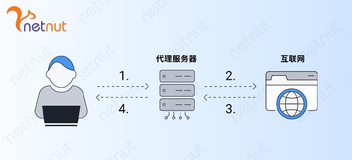 2023最好的代理服务器代理（二） 知乎 