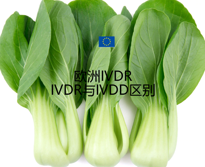 欧盟IVDR---IVDR(EU)2017/746与IVDD的区别 - 知乎