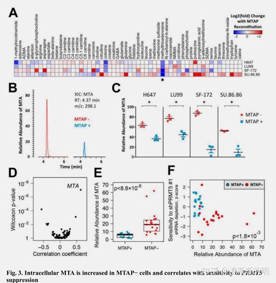 MTAP缺失增强了人类癌细胞对精氨酸甲基转移酶PRMT5的依赖性 - 知乎