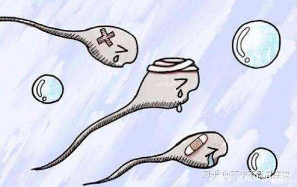 这些症状要小心，可能是弱精症 - 知乎
