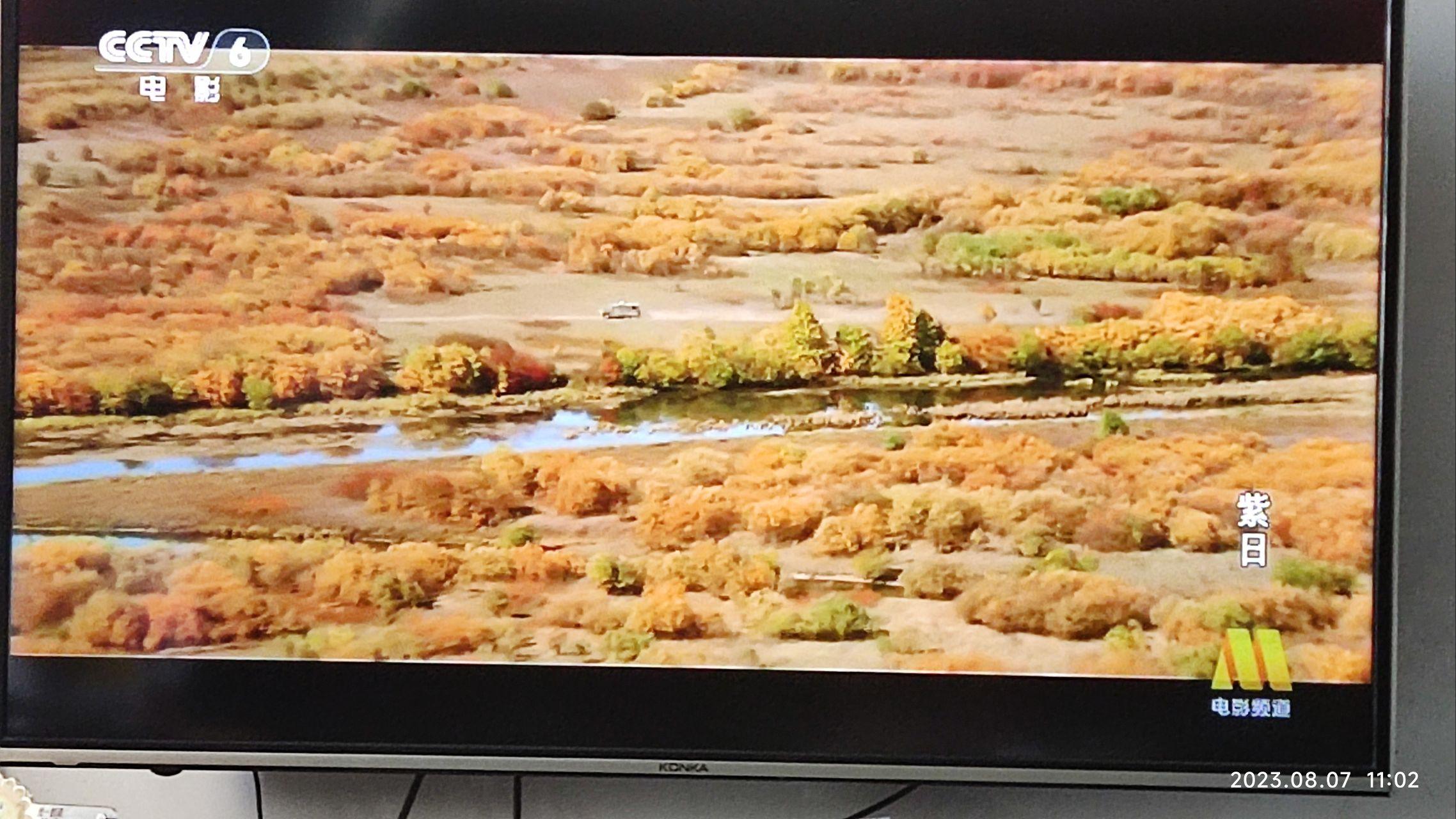 2023年8月CCTV6观影笔记·二战专题 - 知乎