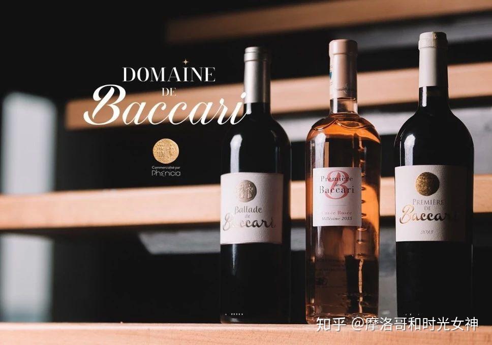 全民禁酒，却成为非洲第二大葡萄酒出口国？|摩洛哥杯酒人生 - 知乎