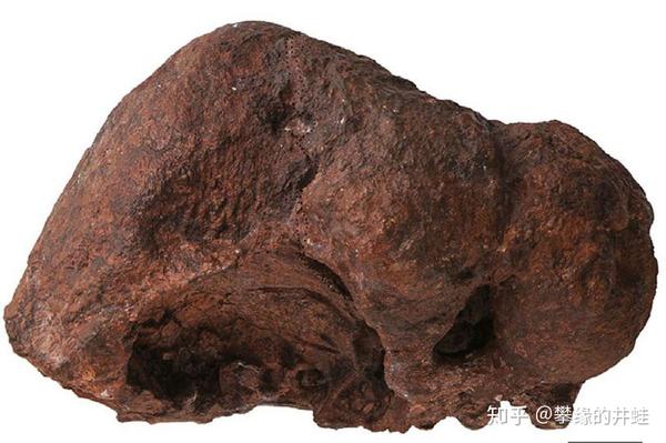 第二百六十回 九龙颂3：但知甘苦同薇蕨 - 知乎