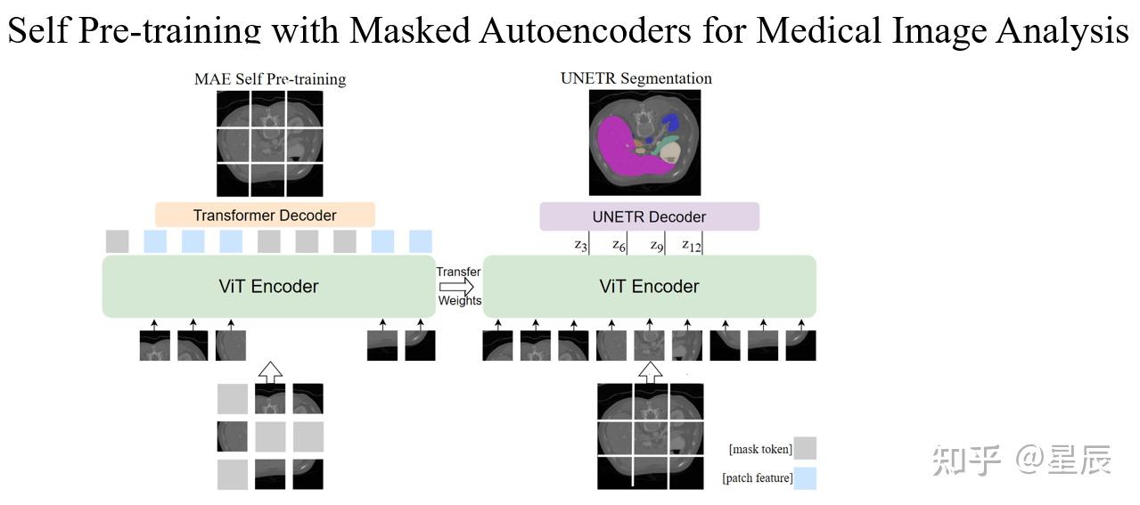 first time-MAE - 知乎