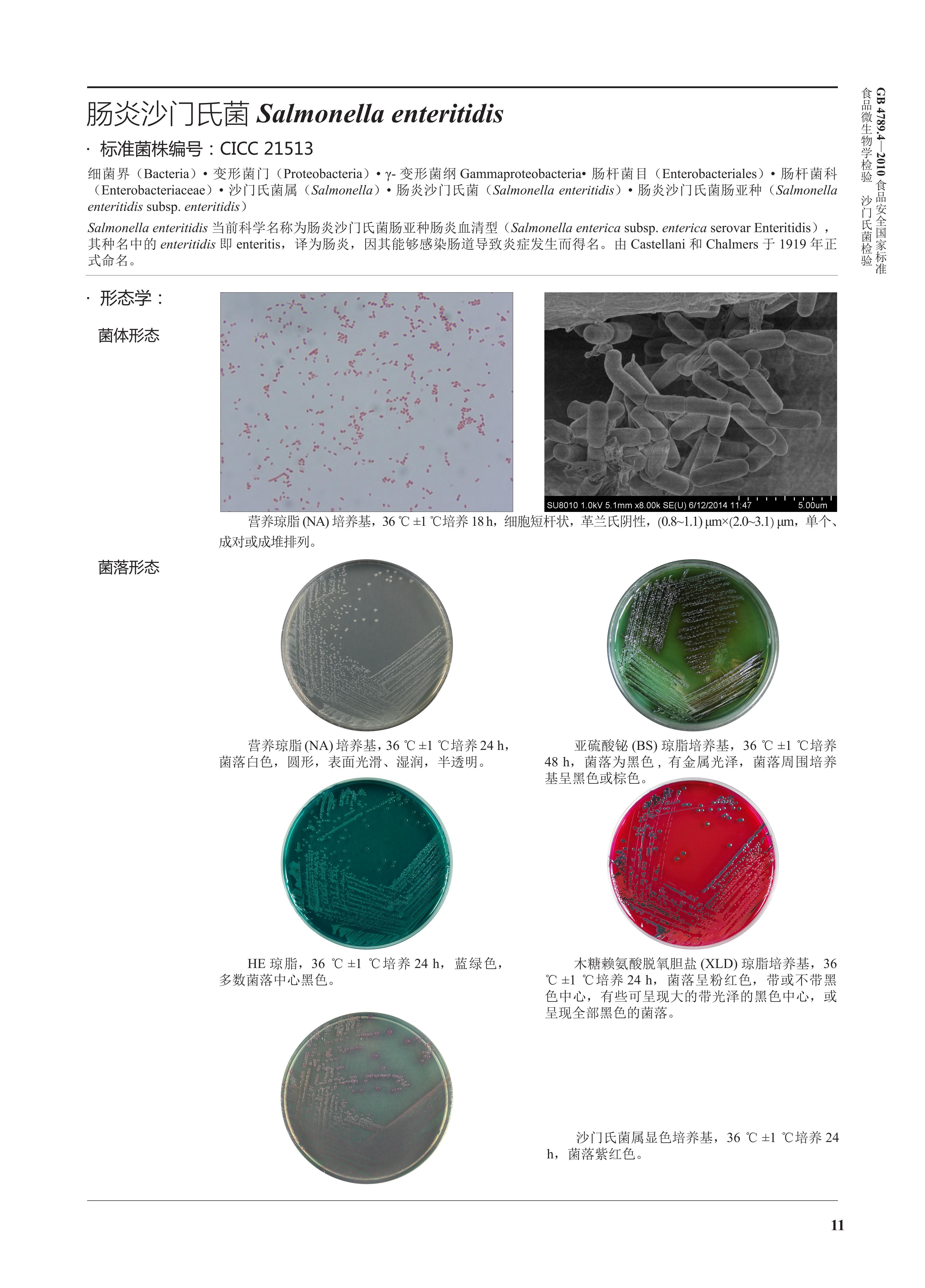 GB 4789食品微生物检验标准菌株系列-沙门氏菌 - 知乎