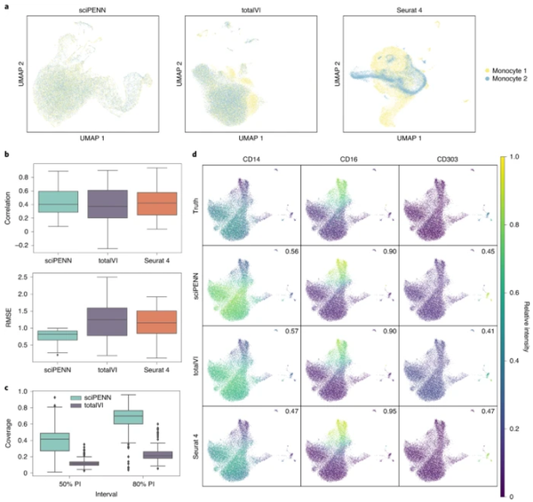 一种多用途深度学习方法，用于CITE-seq和单细胞RNA-seq数据与细胞表面蛋白预测和插补的集成 - 知乎