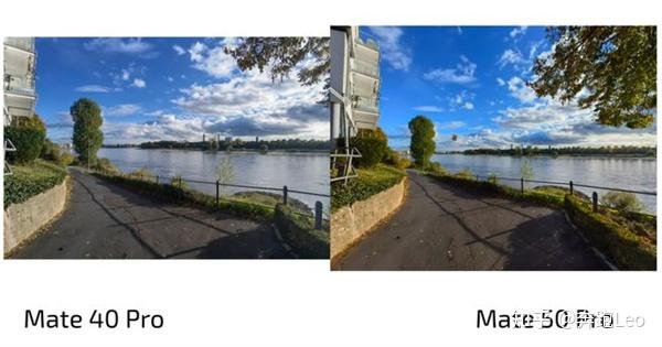 华为Mate50 Pro和荣耀Magic4 至臻版拍照对比