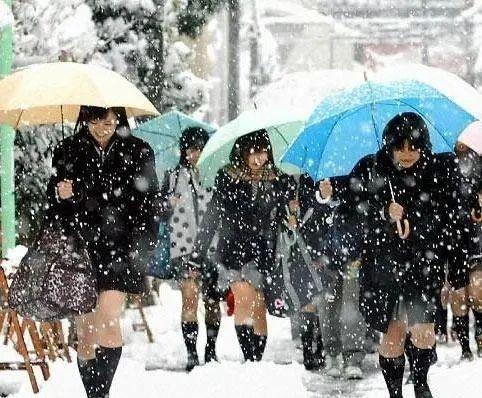 日本北海道3.5万元一套的独栋别墅，值得购买吗？ - 知乎