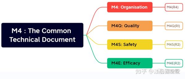 ICH M4框架整理——思维导图 - 知乎