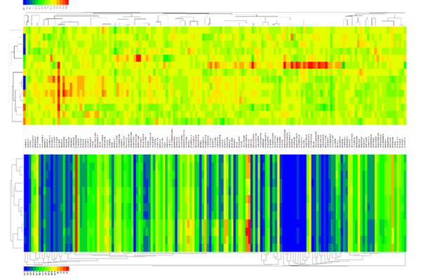 两个小工具：Reactome和HemI - 知乎