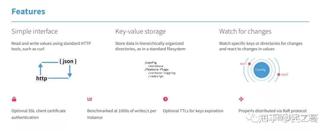 讲真的，etcd 服务入门一篇文章足够了！ - 知乎