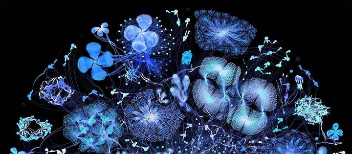 盘点当前已部署在Graphcore IPU上的AI大模型 - 知乎