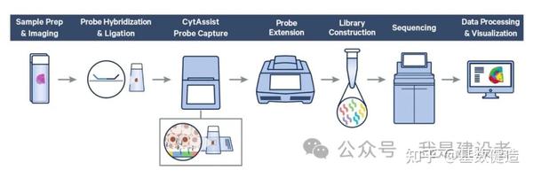 10x Genomics终于推出新的 Visium HD 平台！ - 知乎