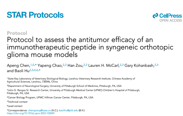 STAR Protocols︱美国胡宝利课题组发表利用原位神经胶质瘤小鼠模型评估免疫治疗功效的实验方案 - 知乎
