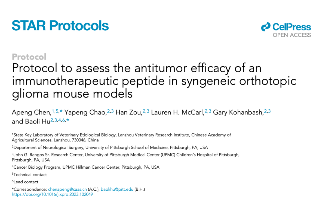 STAR Protocols︱美国胡宝利课题组发表利用原位神经胶质瘤小鼠模型评估免疫治疗功效的实验方案 - 知乎