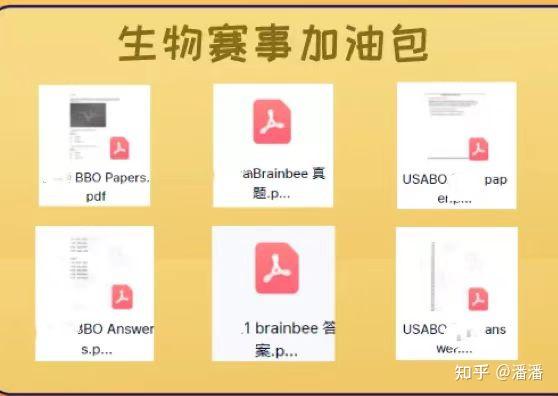 BBO和Brain Bee哪个更好考？