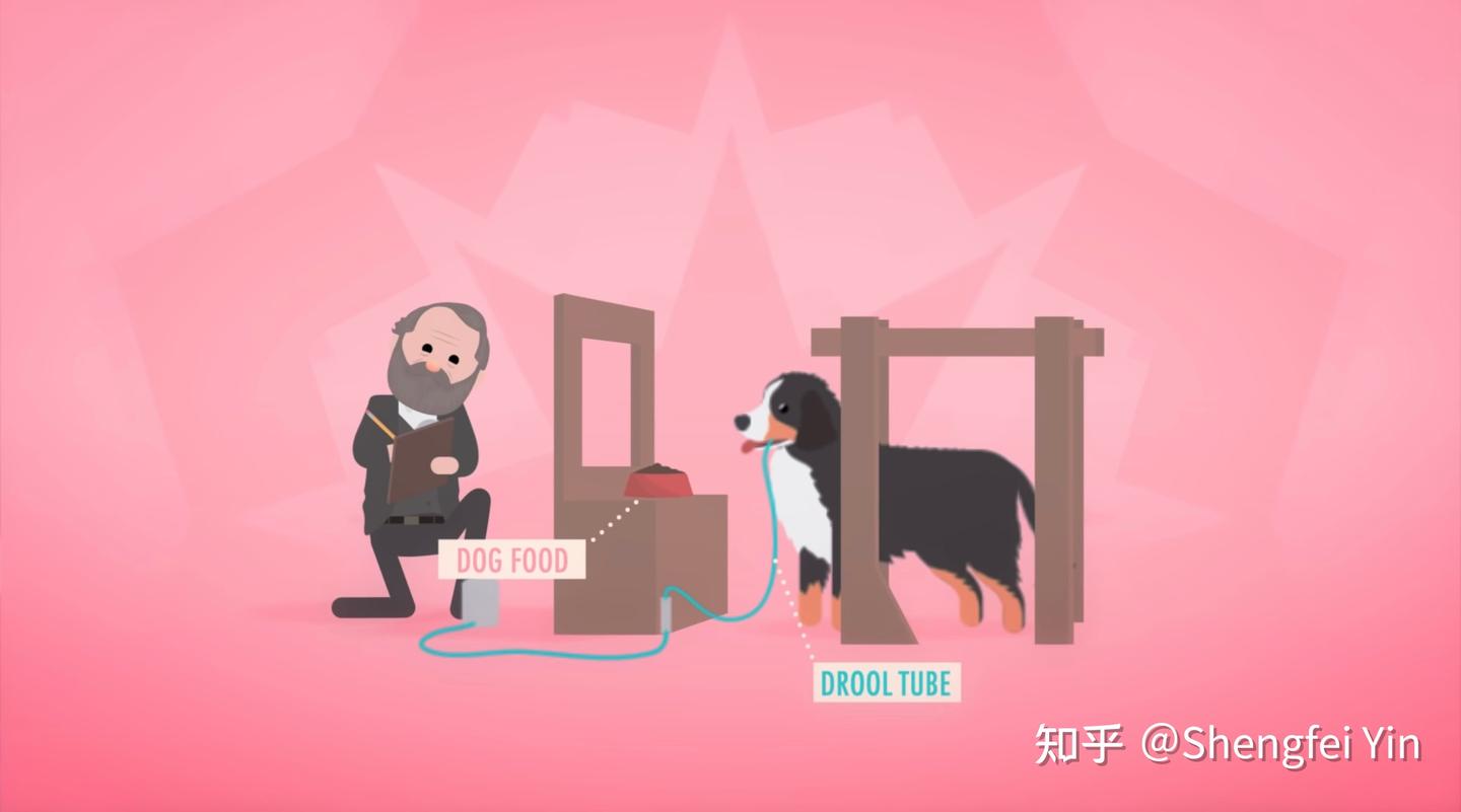 How to Train a Brain - Crash Course Psychology #11 - 知乎