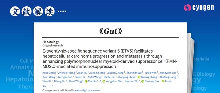 Gut（IF=23）ETV5：肝癌免疫逃逸的“幕后推手” - 知乎