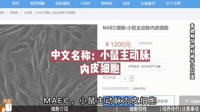 MAEC细胞培养，小鼠主动脉内皮细胞培养攻略 - 丰晖生物 - 知乎