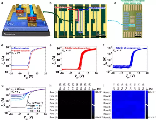 《ACS Nano》用于视觉记忆的神经形态有源像素图像传感器阵列 - 知乎