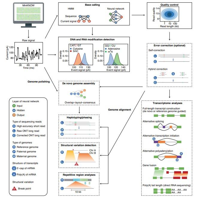 纳米孔DNA/RNA测序技术综述 - 知乎