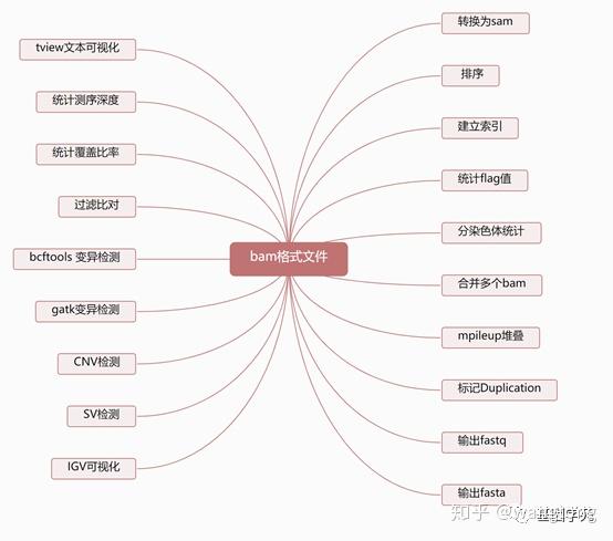 nanopore测序技术专题（十九）：利用samtools处理sam格式文件 - 知乎