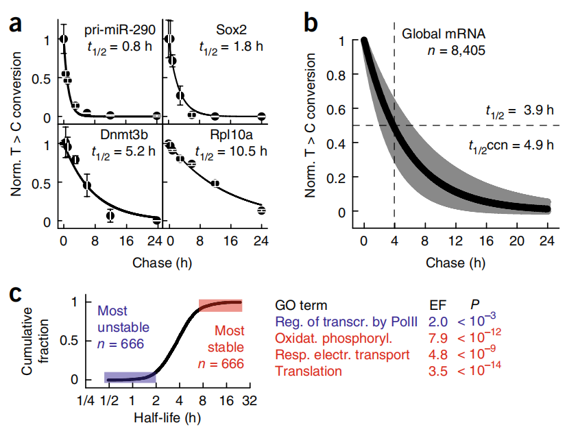 SLAM-seq测序 - 知乎