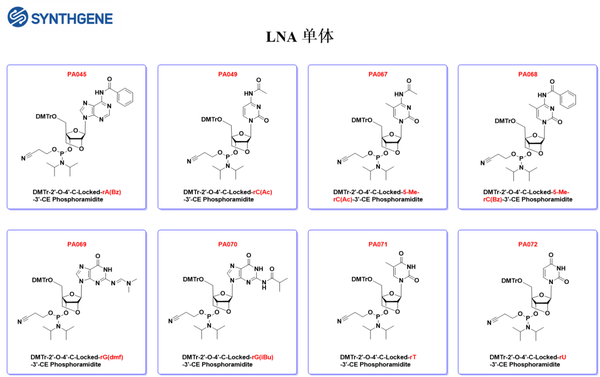 锁核酸：LNA - 知乎