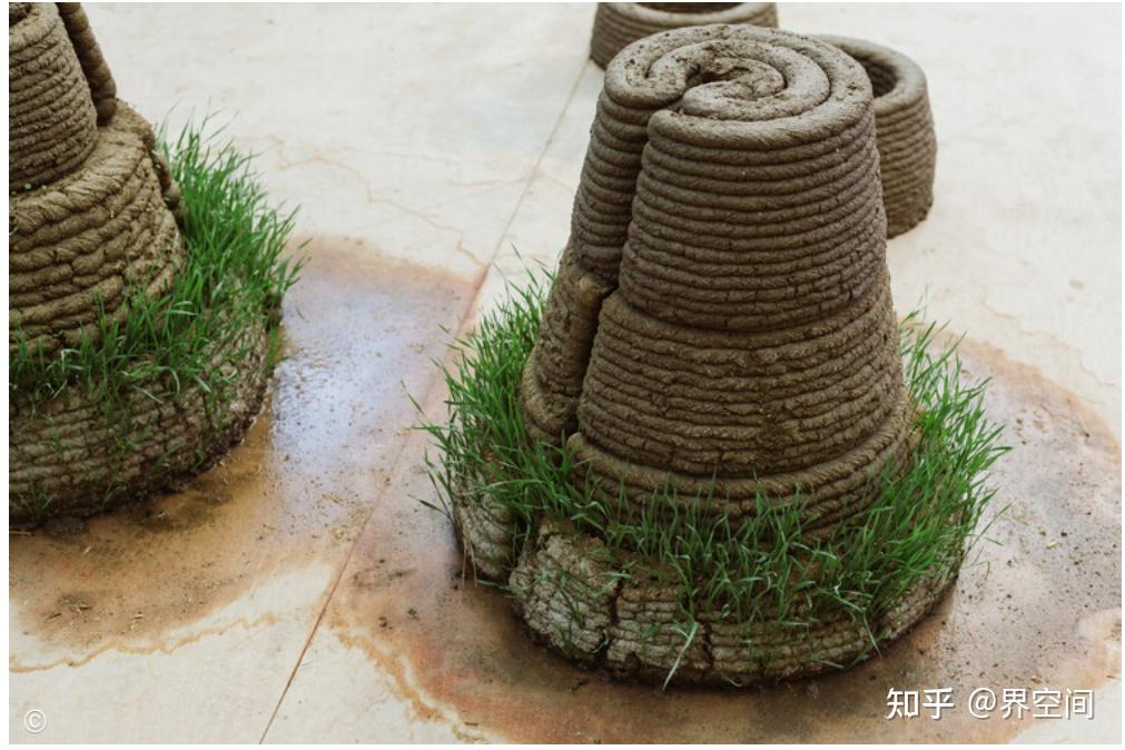 建筑未来：由生物材料建造建筑的未来构想 - 知乎